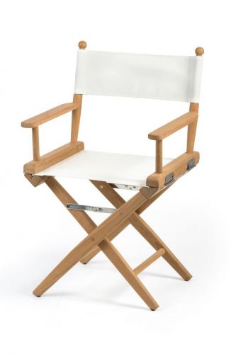 Buy a director chair? - ARC Marine
