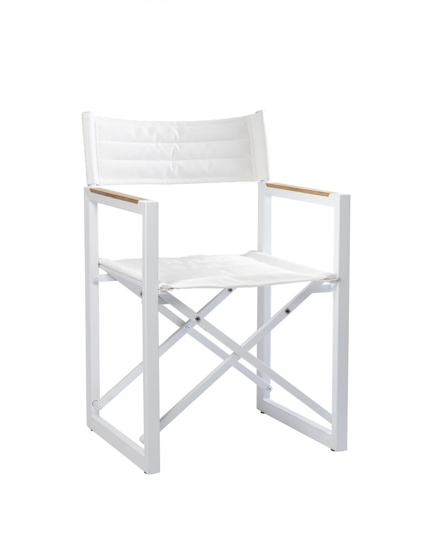 Buy a director chair? - ARC Marine