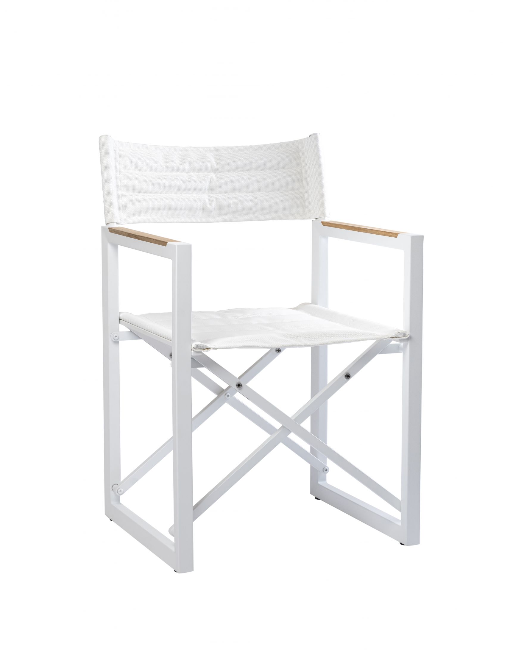 Buy a director chair? - ARC Marine
